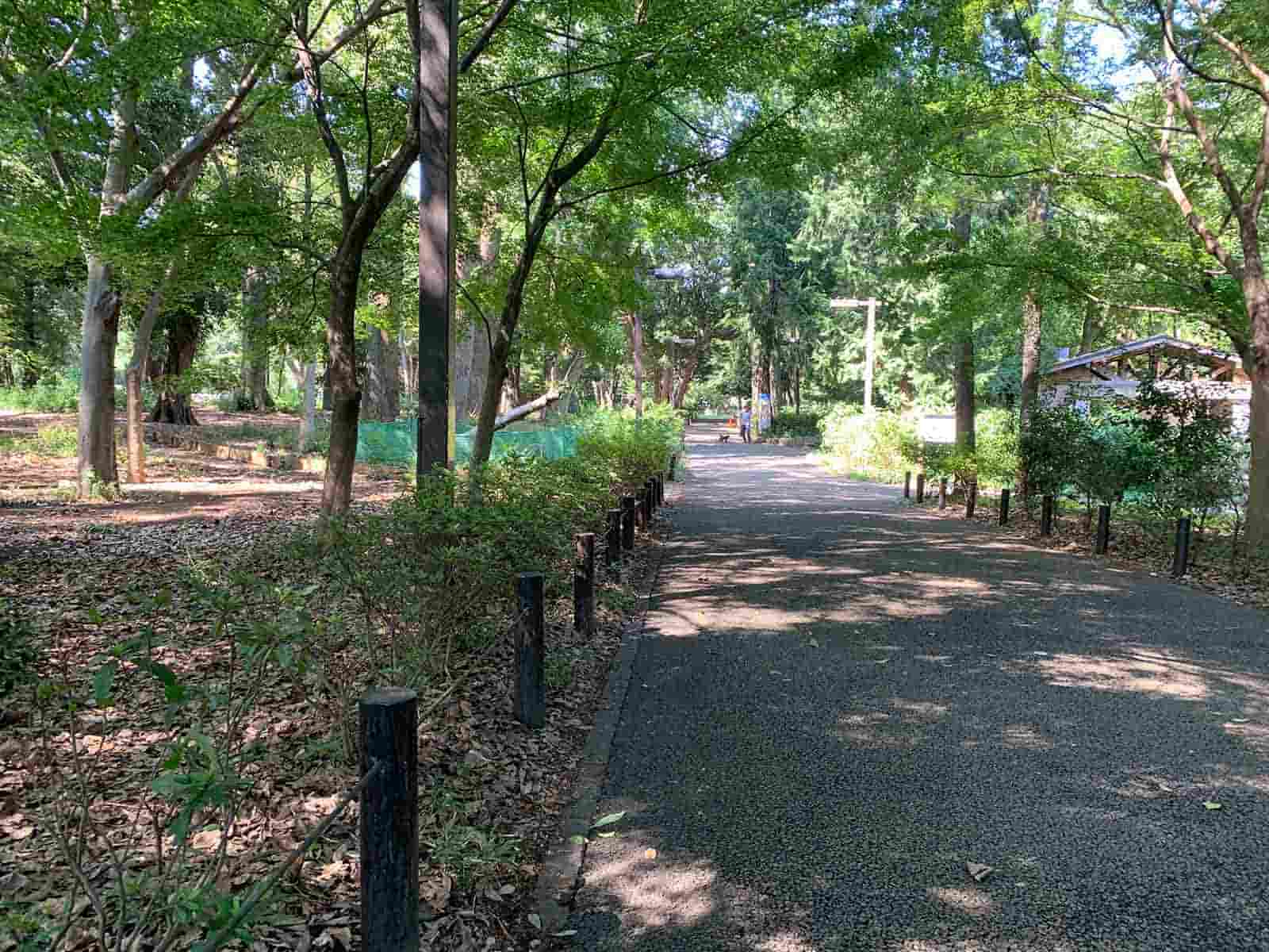 武蔵小山の住みやすさとは？都会の利便性と下町の庶民的な一面を併せ持った人気の街を、歩いた情報とともにご紹介 - 住みたい街レポート - Lnote(エルノート) Presented by 東急リバブル